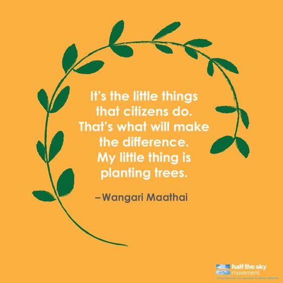 Wangari’s Trees of Peace – Sail Away Story